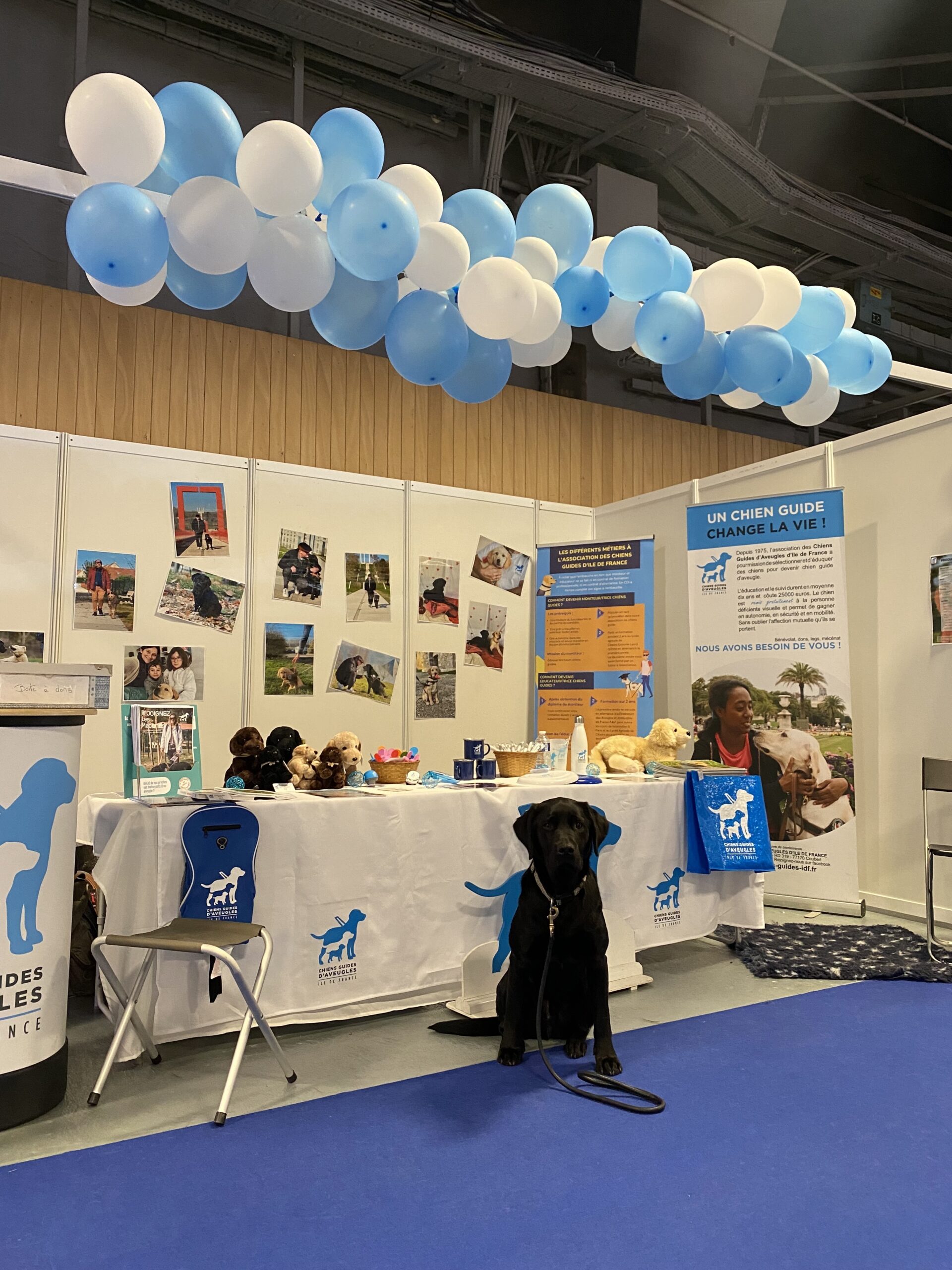 Retour sur le Paris Animal Show! - Chiens Guides d'Aveugles d'Île-de-France