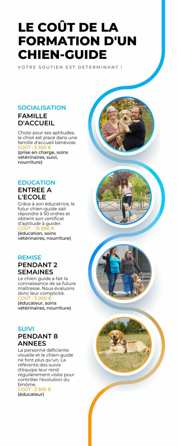 Le coût de la formation du chien-guide - Chiens Guides d'Aveugles d'Île ...